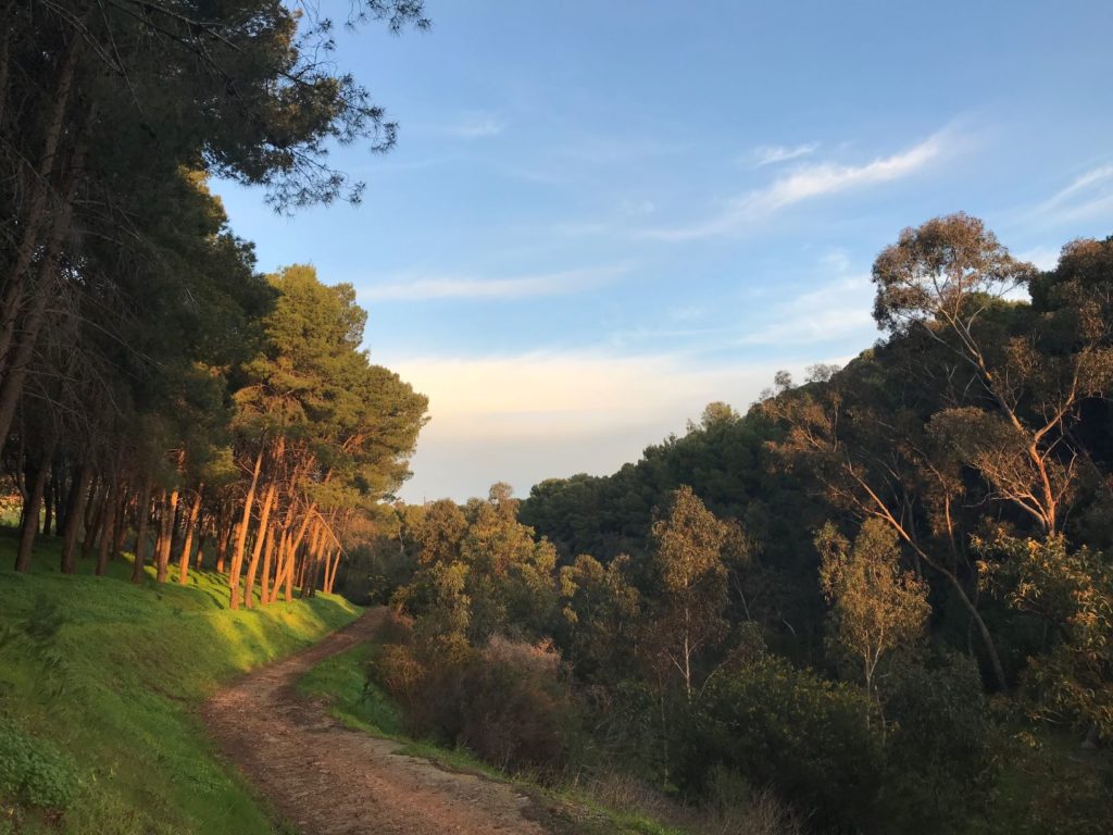 AyomO+9WSE6hYchw5d3y%A – Global Experience