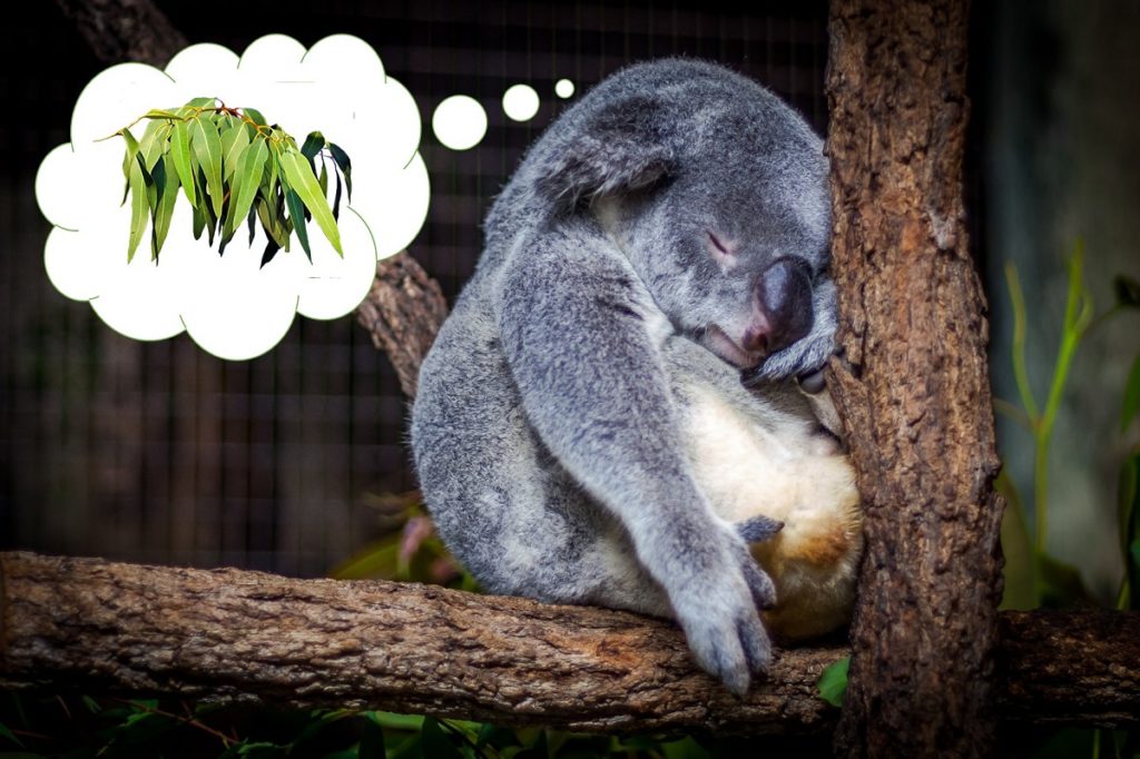 Boost memory with periods of rest – Better U