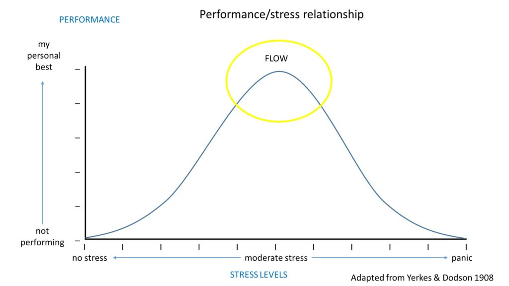 Studyology V2 Insights - taking the edge off that study distress ...