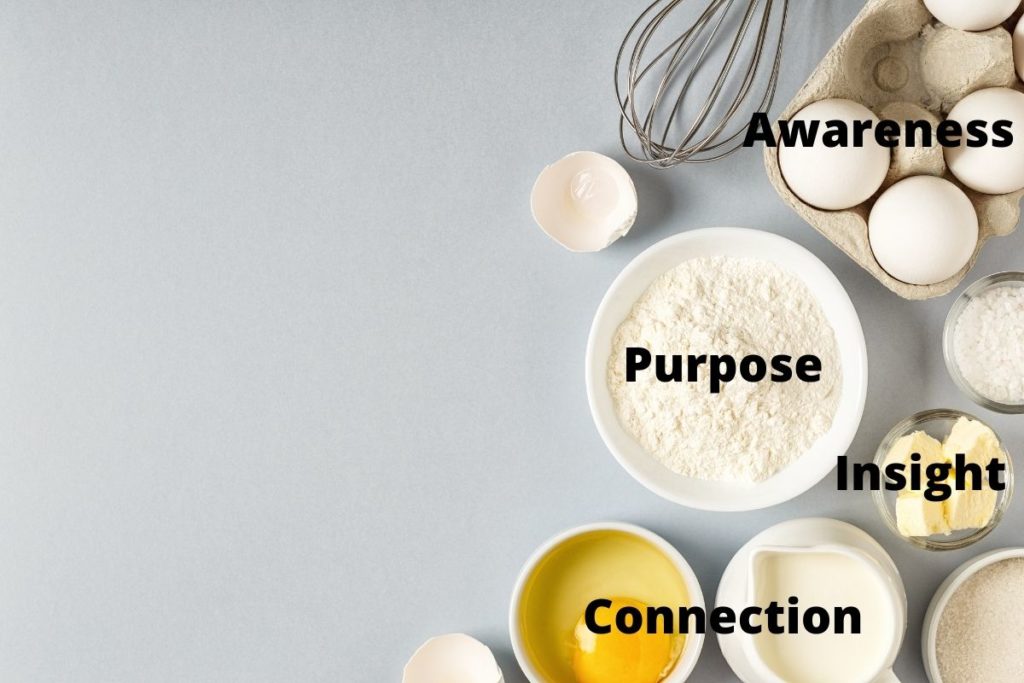 Awareness, connection, insight and purpose: critical components of ...