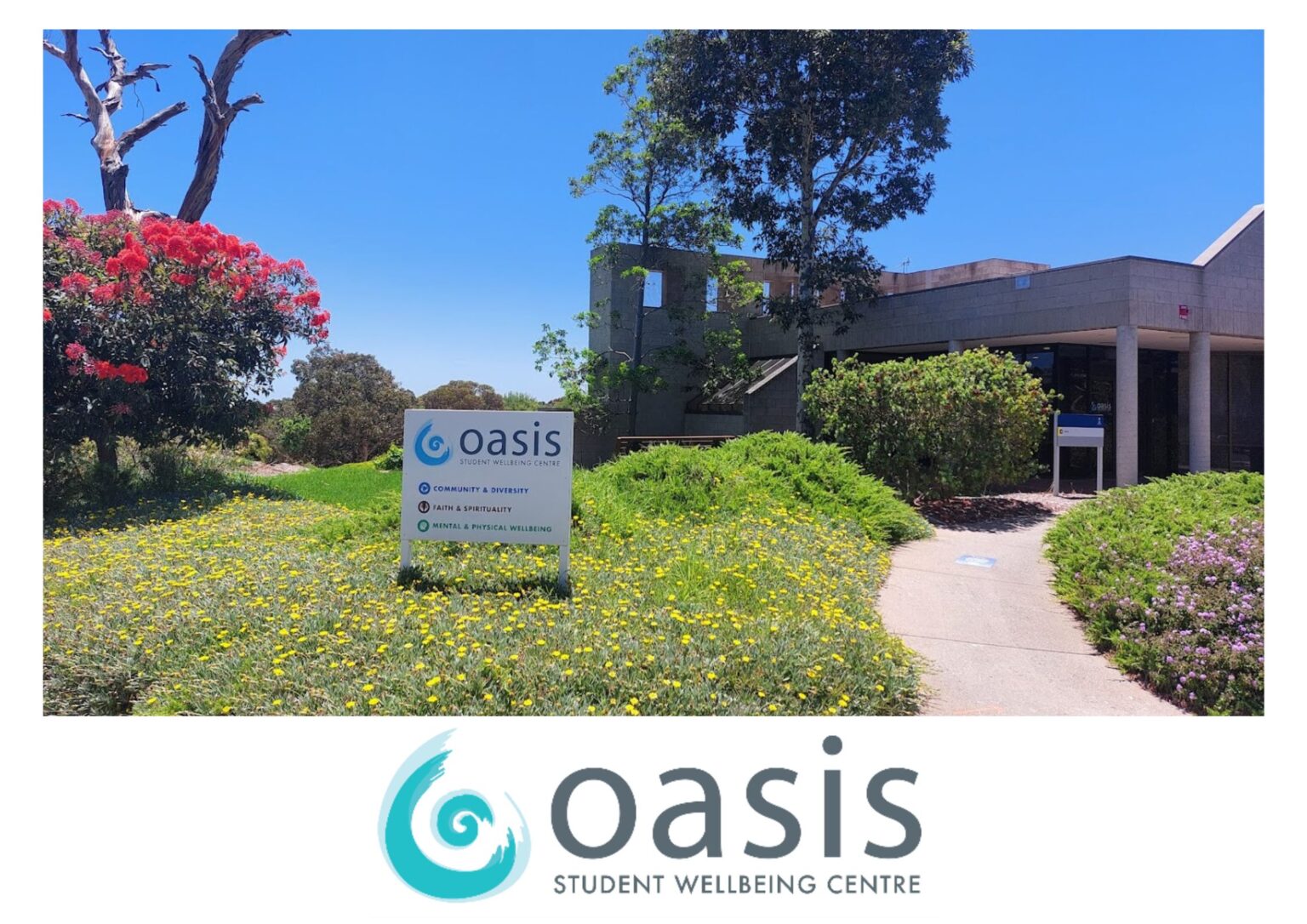 Have you ever been to Oasis? – Better U